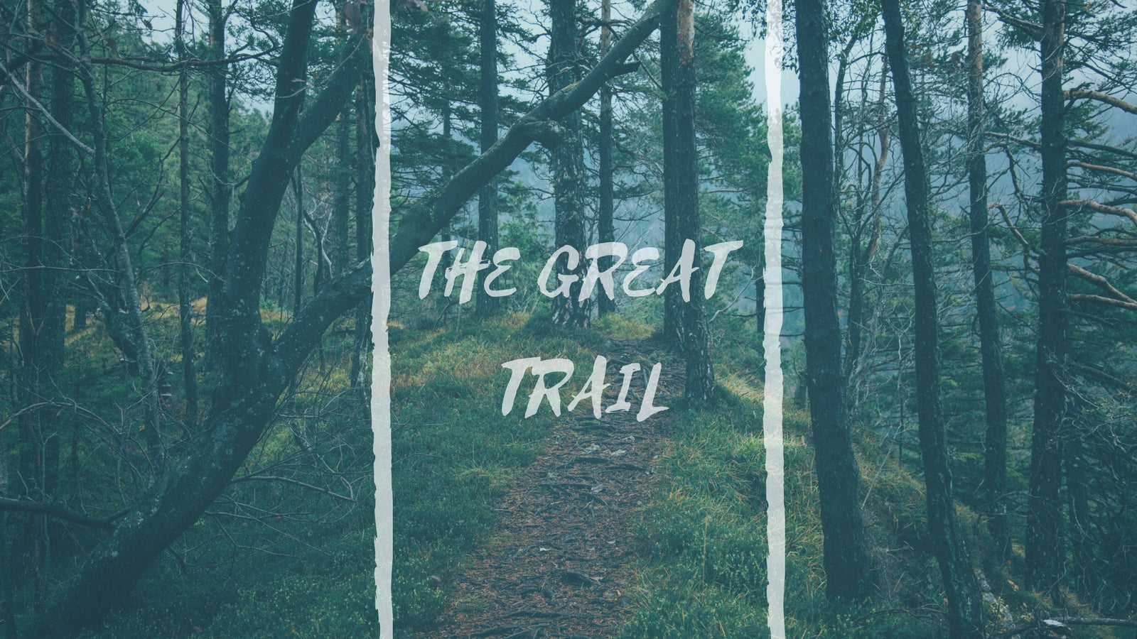 Canada’s Great Trail Is a Surprise and Delight for the Nation’s Recrea
