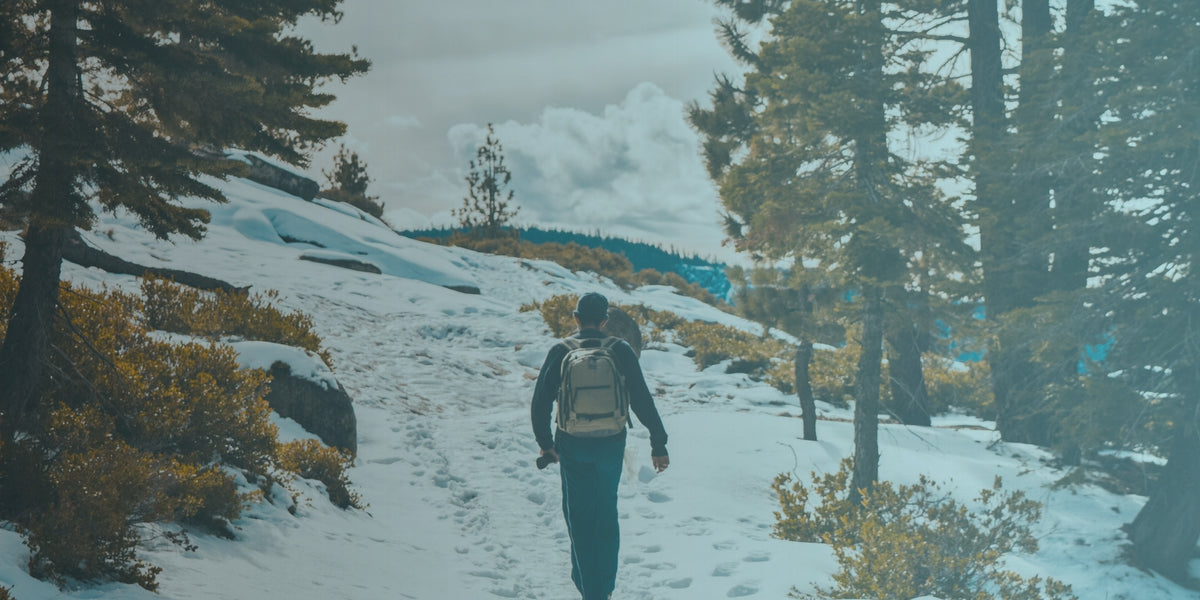 Walking the Great Outdoors is the Best Exercise – Yatta Life Inc